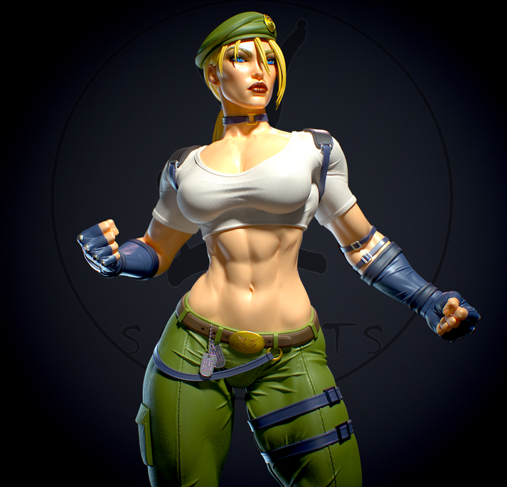 Sonya Blade NSFW - Mortal Kombat - STL 3D Print Files – My Stl