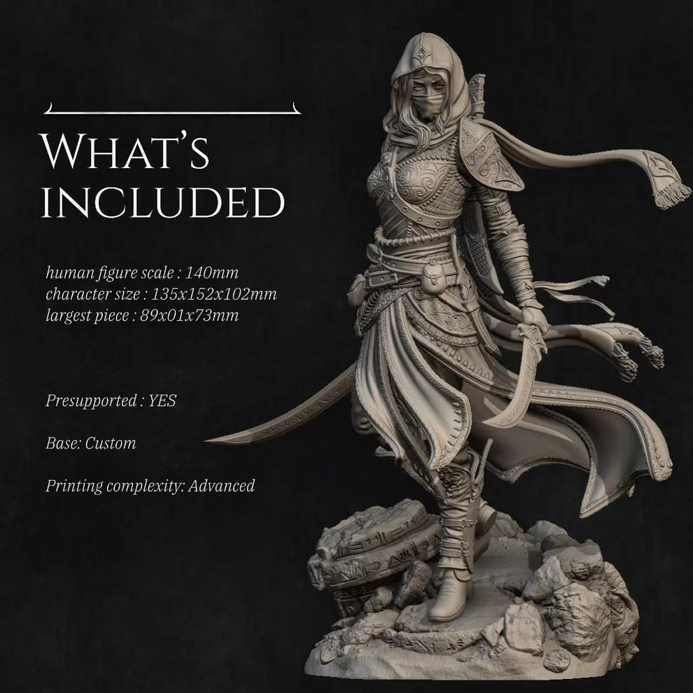 The Assassin - STL 3D Print Files – My Stl